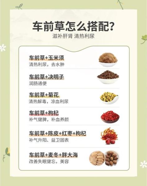 车前草怎么吃效果最好_车前草的正确吃法-第2张图片-山城妙识 车前草怎么吃效果最好_车前草的正确吃法-第2张图片-山城妙识