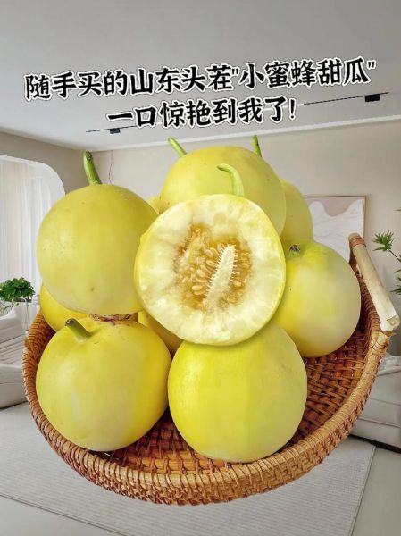 甜瓜品种有哪些_甜瓜图片大全怎么找-第3张图片-山城妙识 甜瓜品种有哪些_甜瓜图片大全怎么找-第3张图片-山城妙识