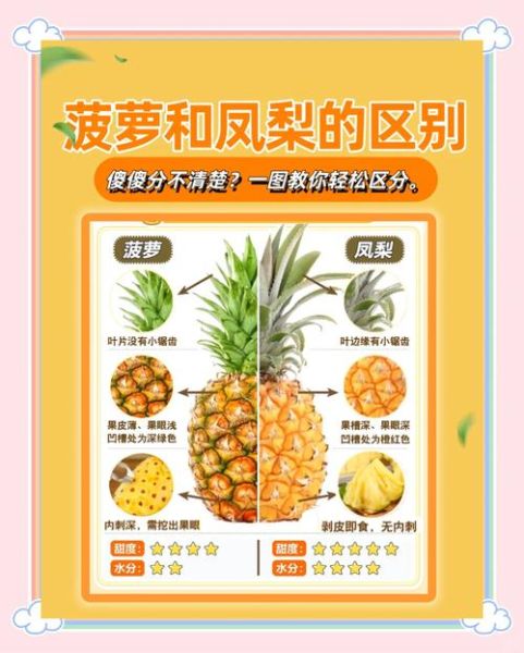 菠萝和凤梨哪个贵_价格差异原因-第1张图片-山城妙识