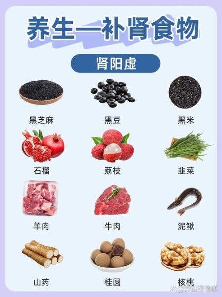 补肾的食物排名_吃什么补肾效果最好-第2张图片-山城妙识