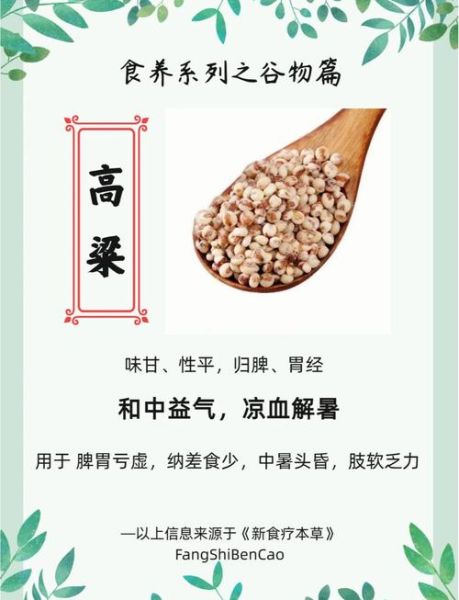 高粱的拼音怎么写_高粱拼音正确拼法-第1张图片-山城妙识 高粱的拼音怎么写_高粱拼音正确拼法-第1张图片-山城妙识