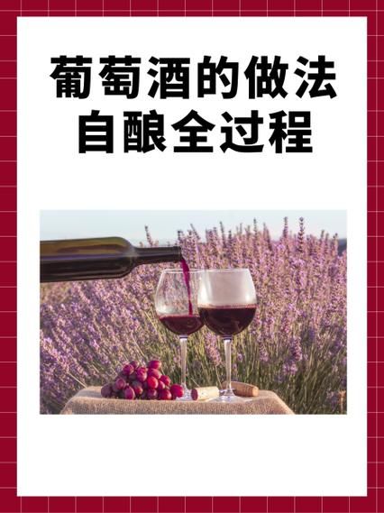 葡萄酒怎么发酵_自酿葡萄酒步骤-第1张图片-山城妙识
