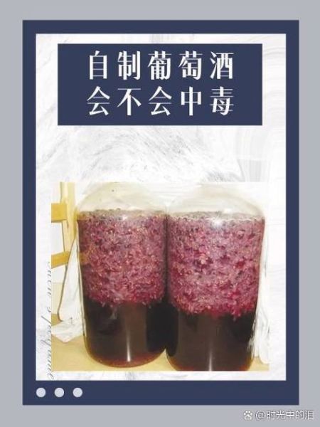 葡萄酒怎么发酵_自酿葡萄酒步骤-第3张图片-山城妙识