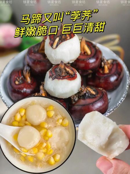 荸荠怎么做好吃_荸荠的做法大全-第1张图片-山城妙识