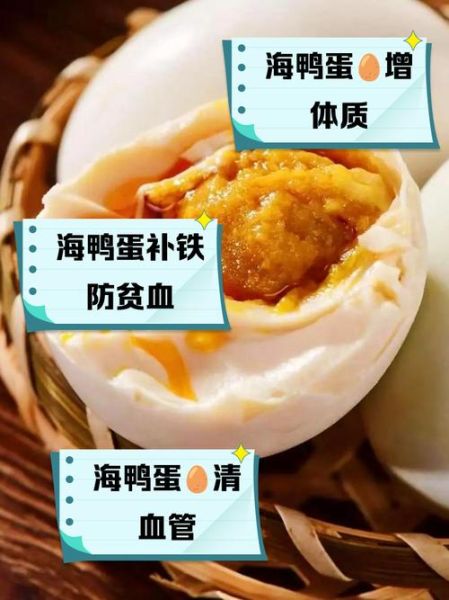 海鸭蛋的功效与作用_海鸭蛋的禁忌有哪些-第1张图片-山城妙识