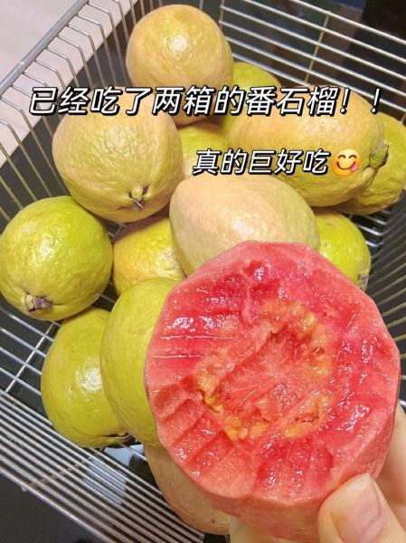 红石榴怎么吃_红石榴的正确吃法-第3张图片-山城妙识
