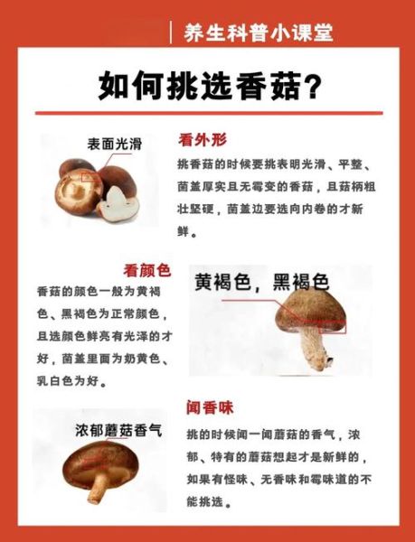 香菇的营养价值有哪些_香菇的功效与作用是什么-第1张图片-山城妙识