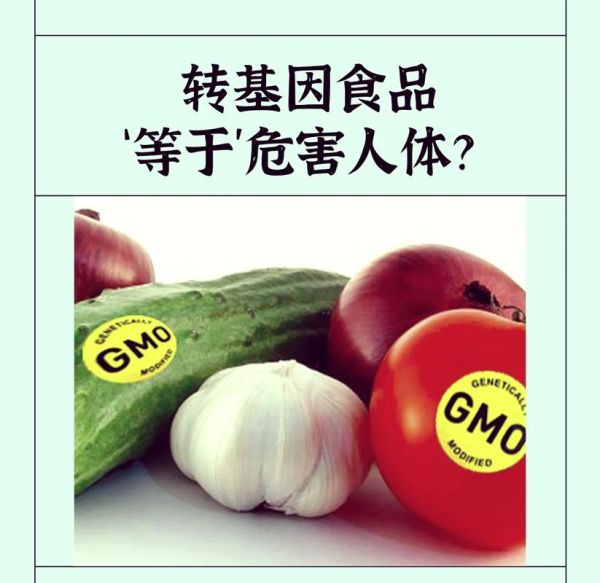 中国转基因食品名单有哪些_转基因食品怎么辨别-第2张图片-山城妙识