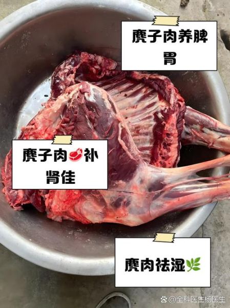 麂子肉怎么烧_麂子肉去腥方法-第1张图片-山城妙识