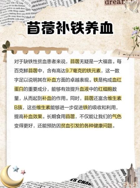苜蓿菜的功效与禁忌_什么人不能吃-第2张图片-山城妙识