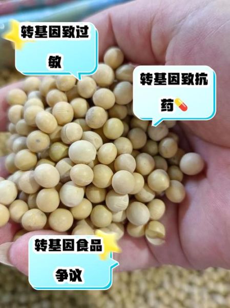 中国转基因食品名单有哪些_转基因食品怎么辨别-第3张图片-山城妙识