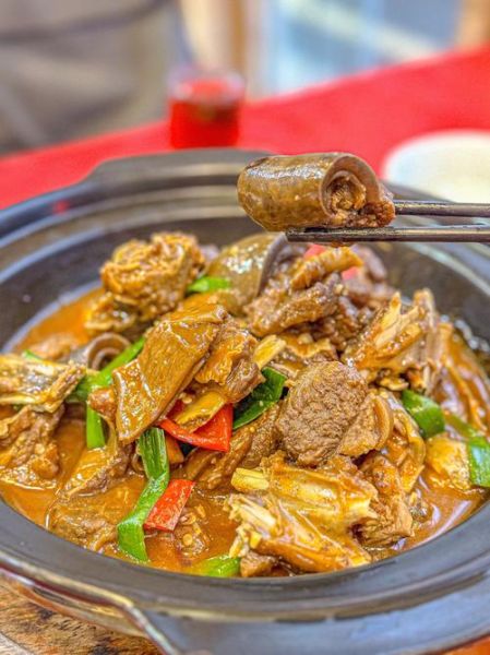 麂子肉怎么烧_麂子肉去腥方法-第2张图片-山城妙识