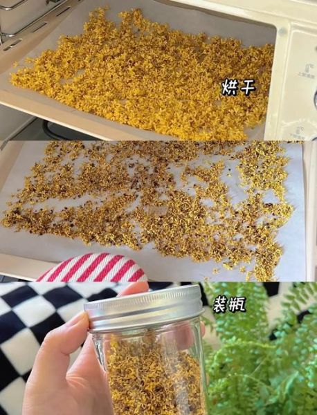自制桂花干怎么做_桂花干保存多久-第2张图片-山城妙识 自制桂花干怎么做_桂花干保存多久-第2张图片-山城妙识