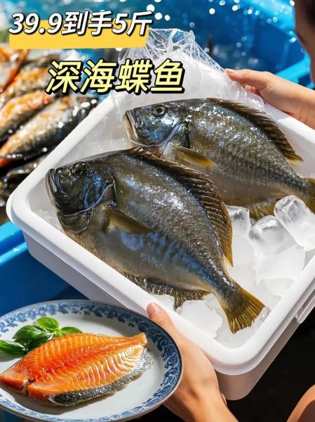 碟鱼图片大全_碟鱼长什么样-第2张图片-山城妙识 碟鱼图片大全_碟鱼长什么样-第2张图片-山城妙识