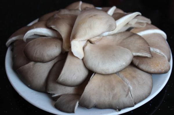 鲜蘑菇怎么炒好吃_鲜蘑菇的家常做法窍门-第1张图片-山城妙识