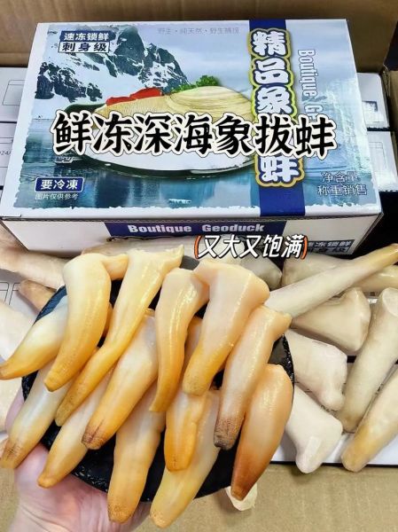 象拔蚌女性会拿来用吗_女性使用象拔蚌的真实体验-第3张图片-山城妙识