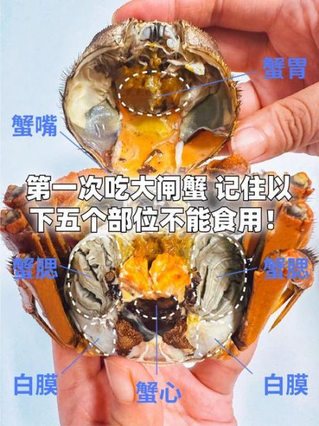 螃蟹哪些地方不能吃_螃蟹哪些部位不能吃图片详解-第1张图片-山城妙识