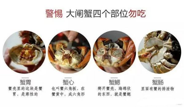 螃蟹哪些地方不能吃_螃蟹哪些部位不能吃图片详解-第2张图片-山城妙识