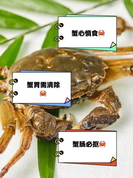 螃蟹哪些地方不能吃_螃蟹哪些部位不能吃图片详解-第3张图片-山城妙识