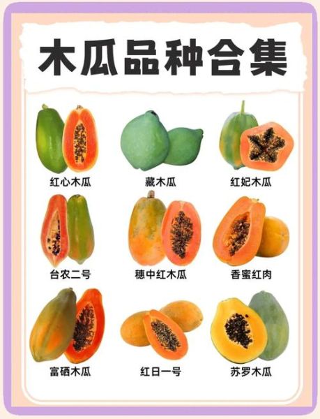 野生木瓜有几种_野生木瓜品种区别-第1张图片-山城妙识