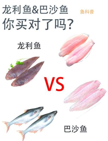 越南龙利鱼是什么鱼_越南龙利鱼是海鱼还是淡水鱼-第2张图片-山城妙识