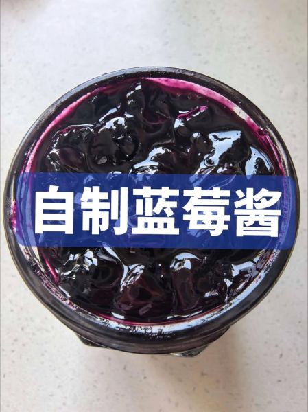 蓝莓酱怎么制作_蓝莓酱的做法步骤-第1张图片-山城妙识
