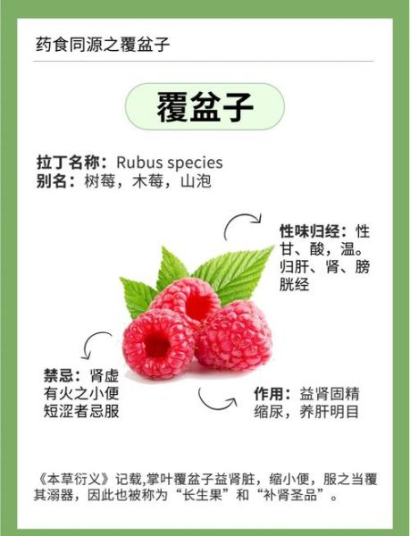 覆盆子禁忌人群有哪些_孕妇能吃覆盆子吗-第1张图片-山城妙识