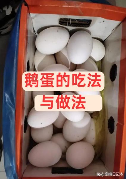 鹅蛋怎么做好吃_家常鹅蛋的最佳吃法-第1张图片-山城妙识