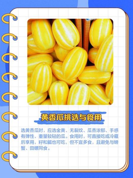 黄甜瓜的功效与作用_黄甜瓜的禁忌有哪些-第3张图片-山城妙识