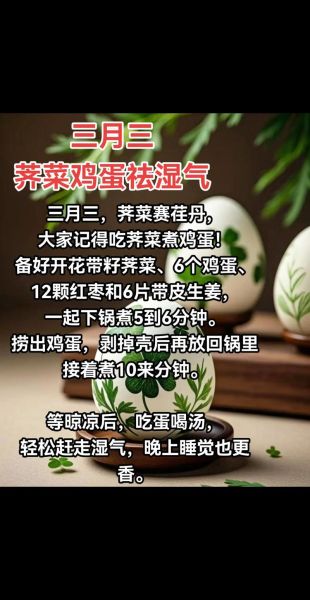 荠荠菜炖鸡蛋怎么做_荠荠菜炖鸡蛋的功效-第3张图片-山城妙识