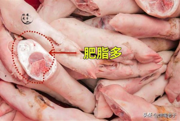 蹄髈是哪个部位_猪前蹄还是后蹄-第1张图片-山城妙识
