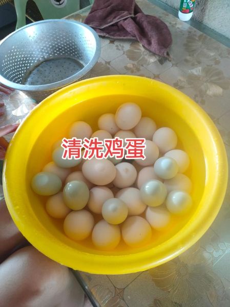 咸蛋怎么做最简单_家庭自制咸蛋要多久-第3张图片-山城妙识