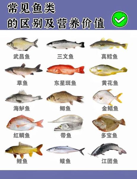 鱼的营养价值排名_哪种鱼最健康-第1张图片-山城妙识