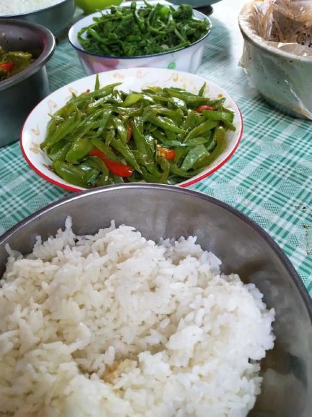 蛇豆怎么炒好吃_蛇豆的做法大全家常-第2张图片-山城妙识