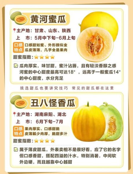 甜瓜怎么挑选_甜瓜图片如何辨别成熟度-第3张图片-山城妙识