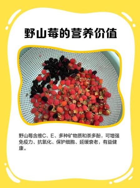 野山莓的功效与作用_野山莓怎么吃最好-第1张图片-山城妙识