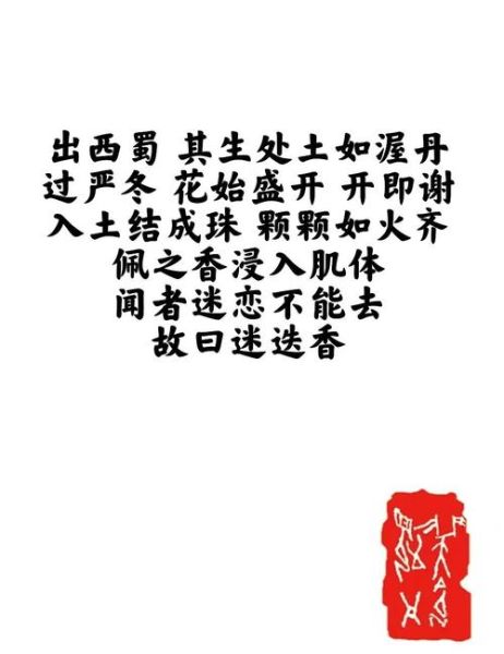 迷迭香歌词想表达什么_周杰伦迷迭香含义-第1张图片-山城妙识 迷迭香歌词想表达什么_周杰伦迷迭香含义-第1张图片-山城妙识