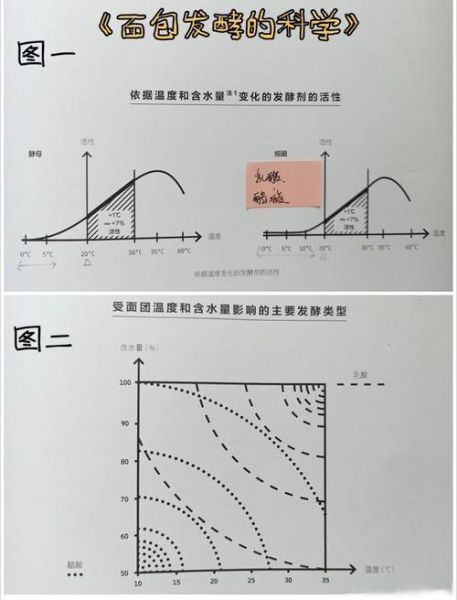 酵母发酵温度是多少_酵母发酵温度怎么控制-第2张图片-山城妙识 酵母发酵温度是多少_酵母发酵温度怎么控制-第2张图片-山城妙识