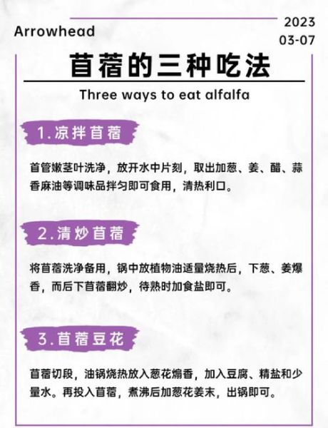 苜蓿菜的营养价值_苜蓿菜怎么吃最健康-第1张图片-山城妙识 苜蓿菜的营养价值_苜蓿菜怎么吃最健康-第1张图片-山城妙识