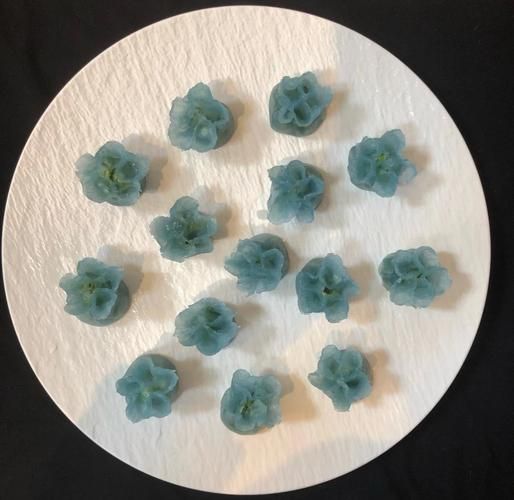 透明蒸饺的面怎么和_水晶皮怎么做不裂-第2张图片-山城妙识 透明蒸饺的面怎么和_水晶皮怎么做不裂-第2张图片-山城妙识