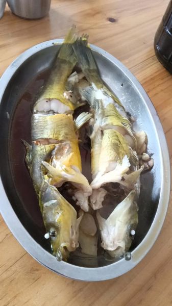 黄骨鱼市场价格多少钱一斤_黄骨鱼价格走势-第3张图片-山城妙识