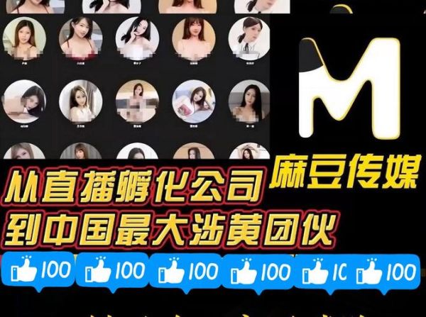 麻豆腐传媒是做什么的_麻豆腐传媒如何盈利-第1张图片-山城妙识