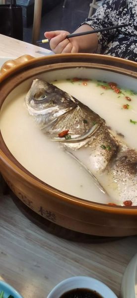 鱼头汤怎么做才白_鱼头汤家常做法大全集-第2张图片-山城妙识