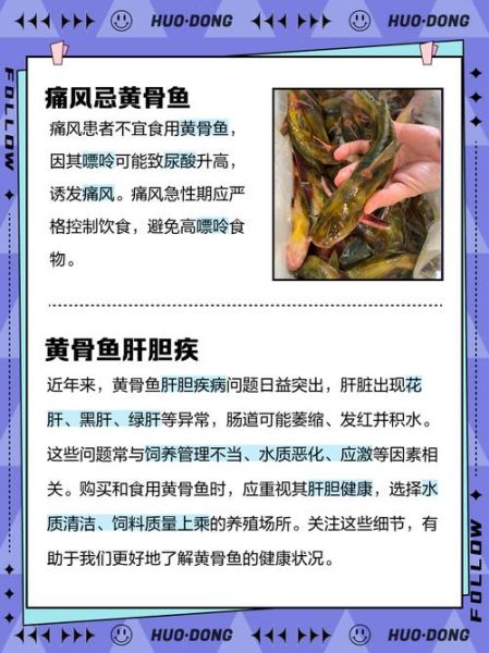 黄骨鱼怎么杀_黄骨鱼去腥技巧-第1张图片-山城妙识