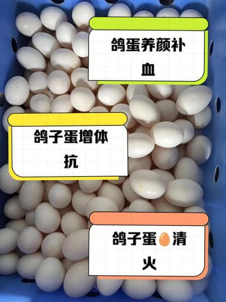 鸽子蛋的营养价值_孕妇可以吃鸽子蛋吗-第1张图片-山城妙识