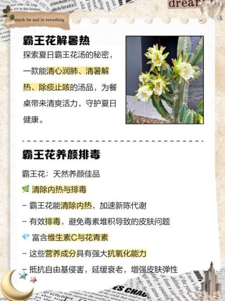 霸王花怎么吃_霸王花有什么功效-第3张图片-山城妙识
