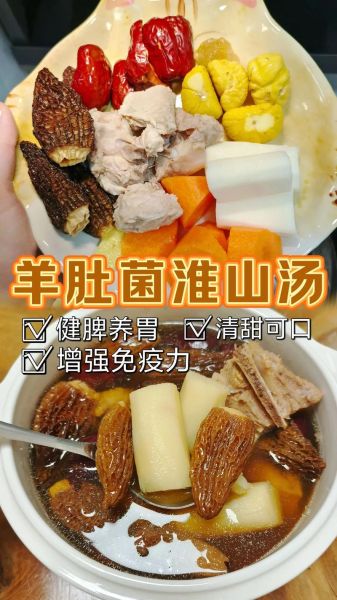羊肚菌汤的功效与作用_羊肚菌汤适合什么人喝-第2张图片-山城妙识