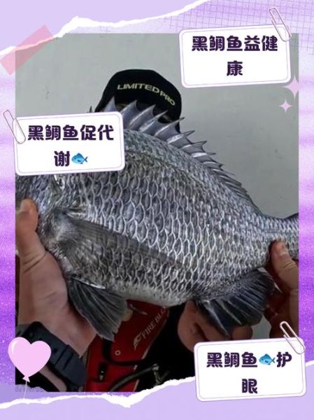 黑鲷鱼怎么做好吃_清蒸黑鲷鱼的做法步骤-第1张图片-山城妙识