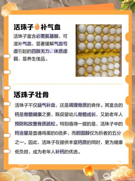 活珠子什么人不能吃_孕妇能吃活珠子吗-第1张图片-山城妙识