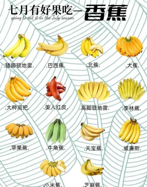 香蕉有哪些品种_香蕉六大种类区别-第2张图片-山城妙识